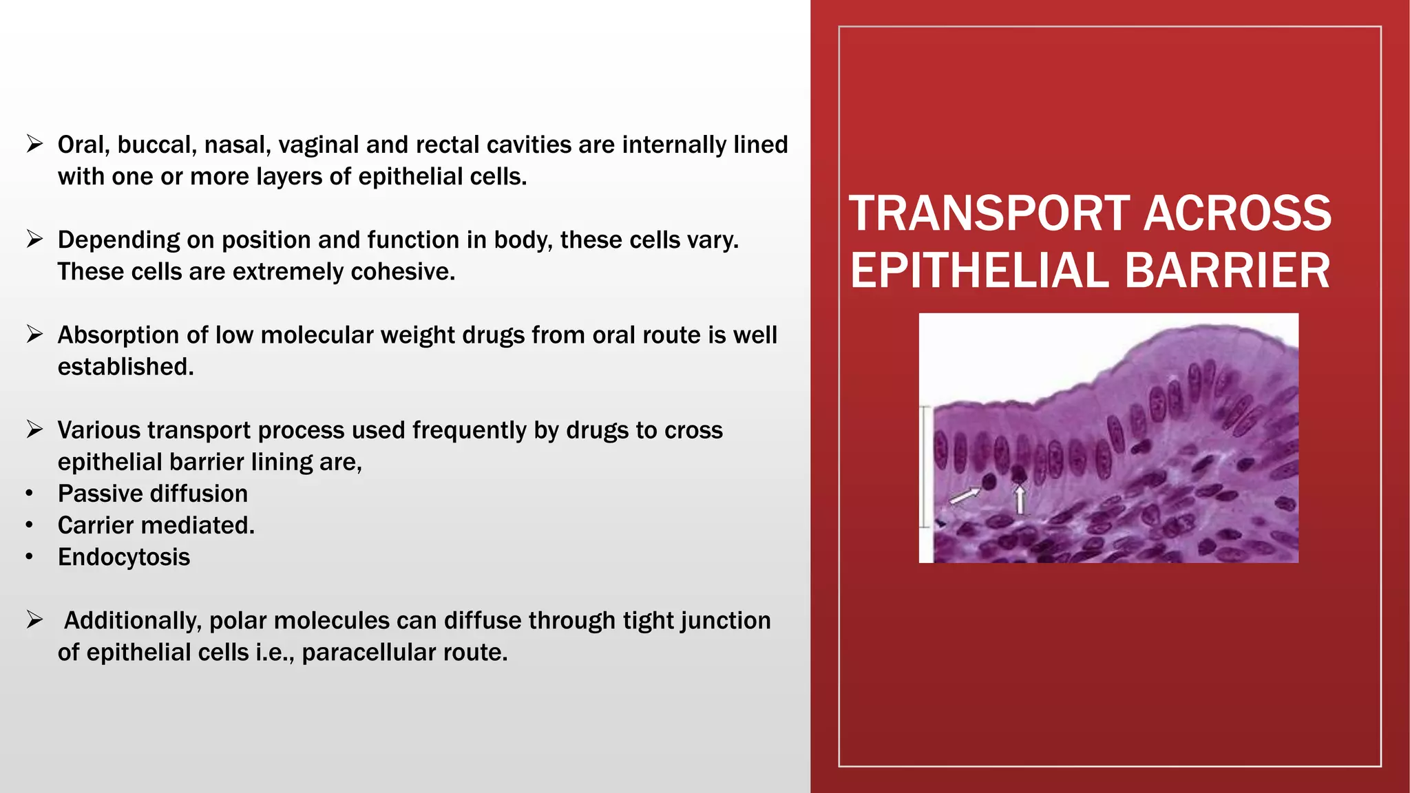Biological process involved in drug targetting | PPTX