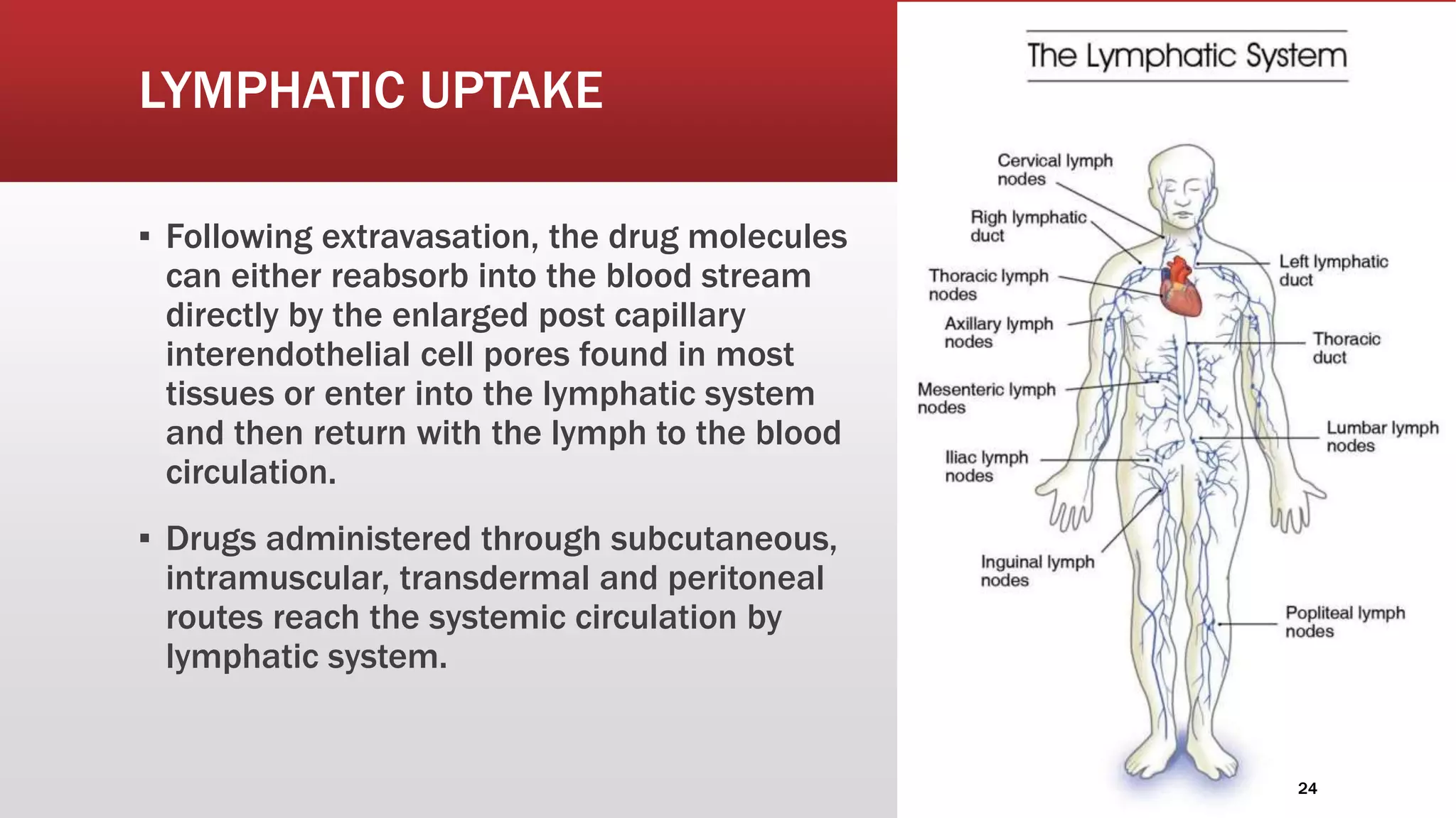 Biological process involved in drug targetting | PPTX