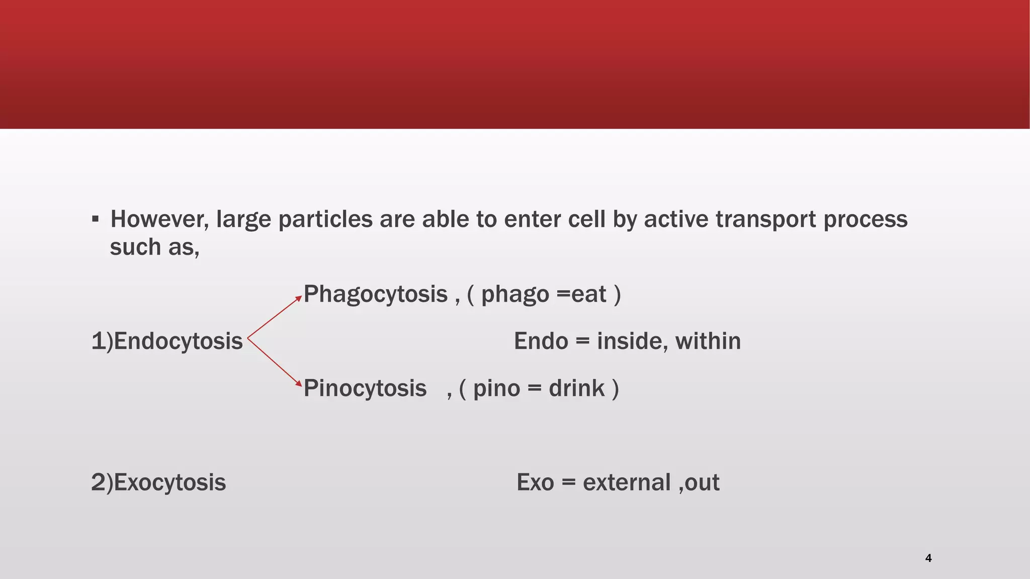 Biological process involved in drug targetting | PPTX