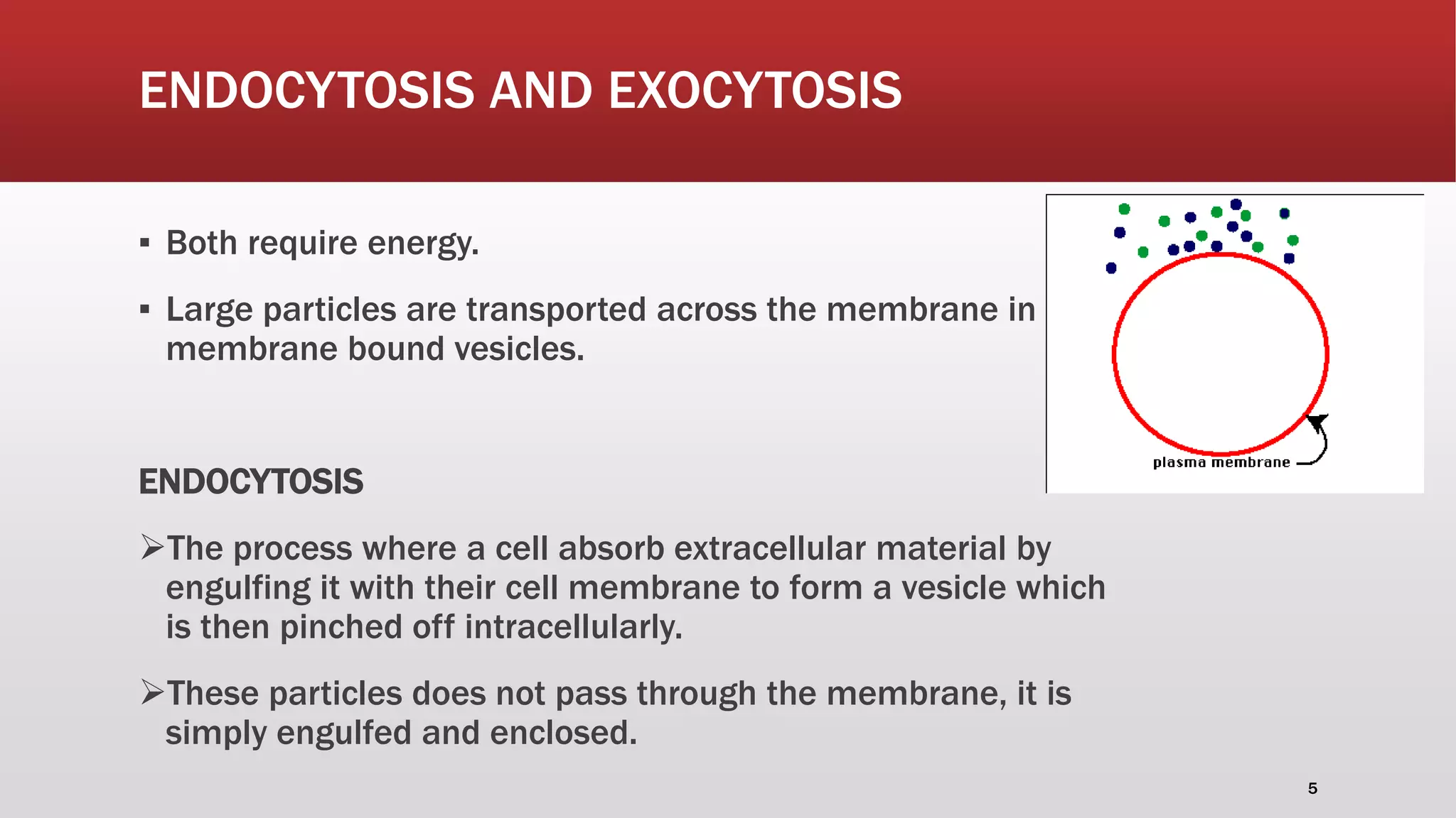Biological process involved in drug targetting | PPTX