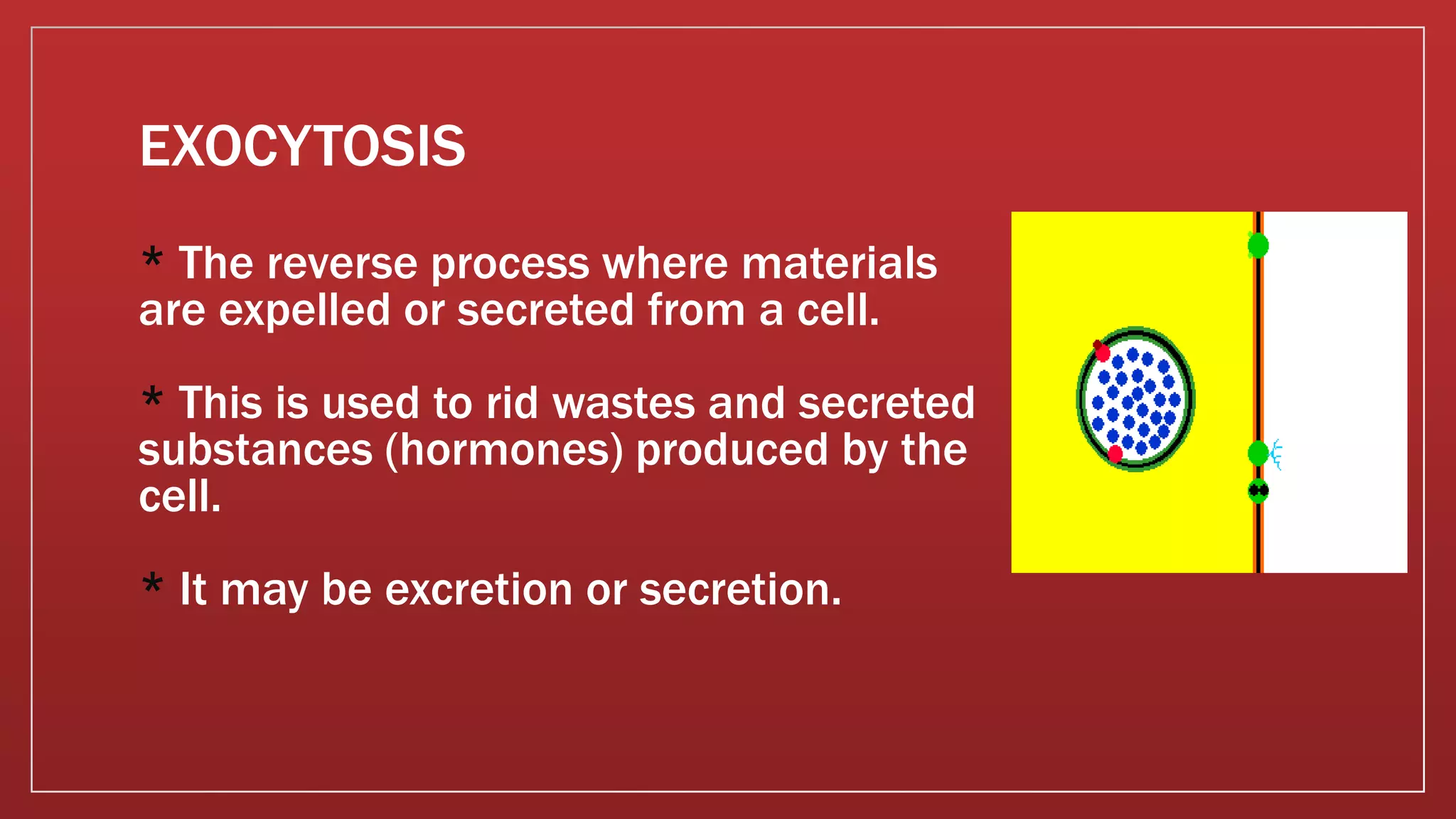 Biological process involved in drug targetting | PPTX