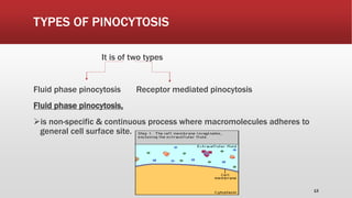 Biological process involved in drug targetting | PPTX