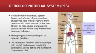 Biological process involved in drug targetting | PPTX