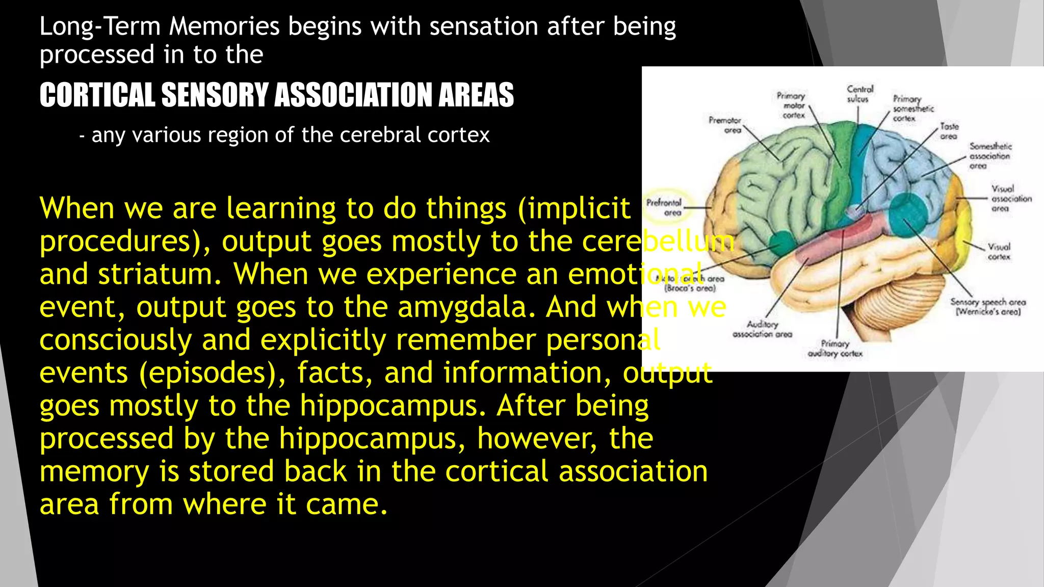 Biological process of memory | PPT