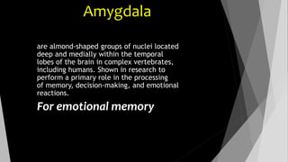 Biological process of memory | PPTX