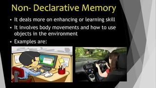 Biological process of memory | PPT
