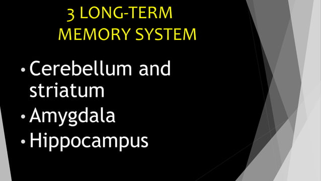 Biological process of memory | PPT