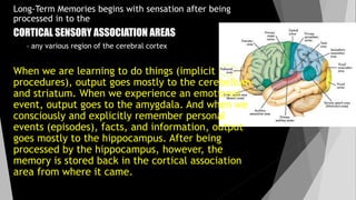 Biological process of memory | PPTX