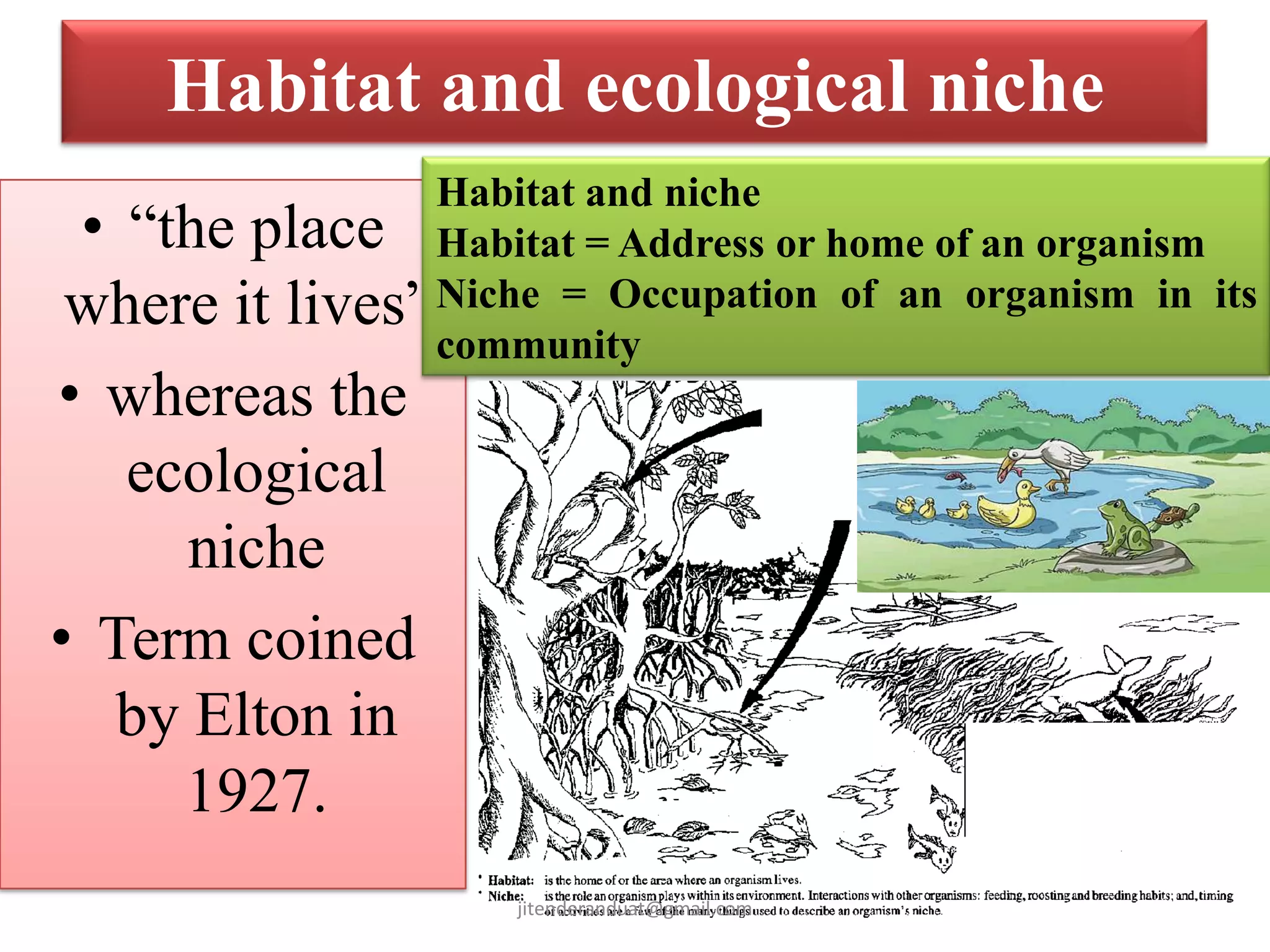 Biological productivity of water bodies | PPTX
