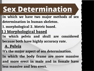 Biological profiling from skeleton remains. | PPTX
