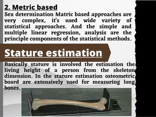 Biological profiling from skeleton remains. | PPTX