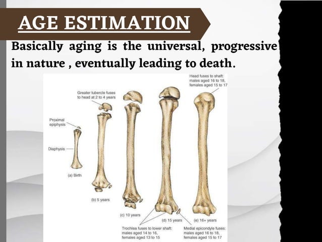 Biological profiling from skeleton remains. | PPTX | Bone and Joint ...