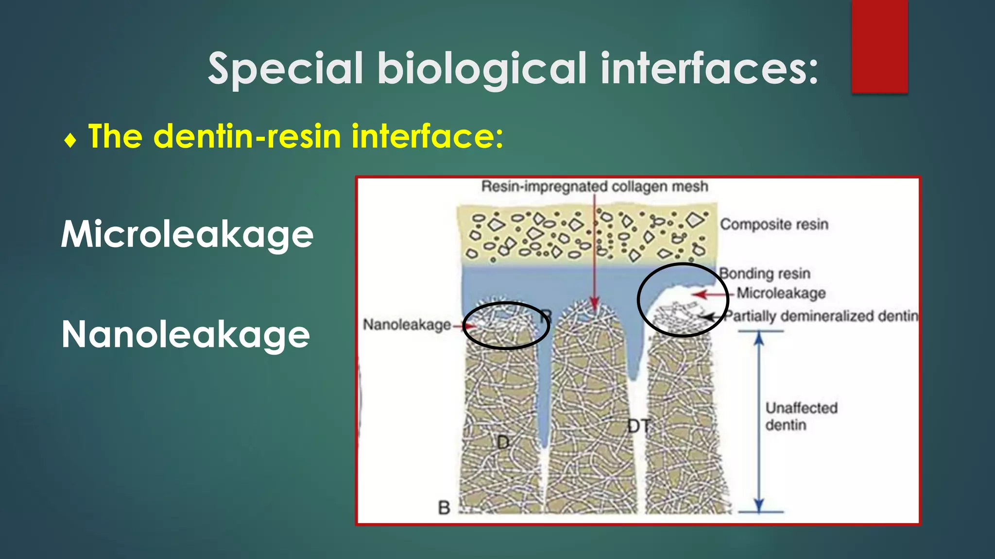 Biological properities and biocompatibility of dental materials | PDF