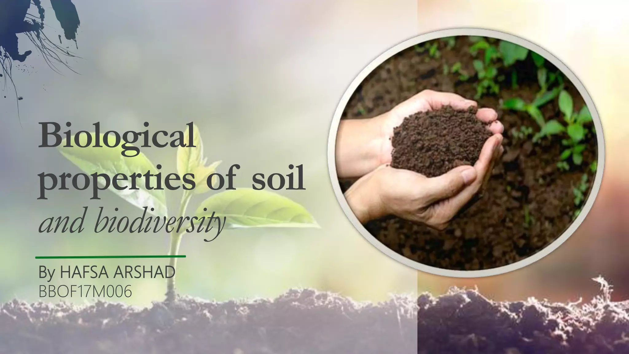 Biological properties of soil and biodiversity | PPTX