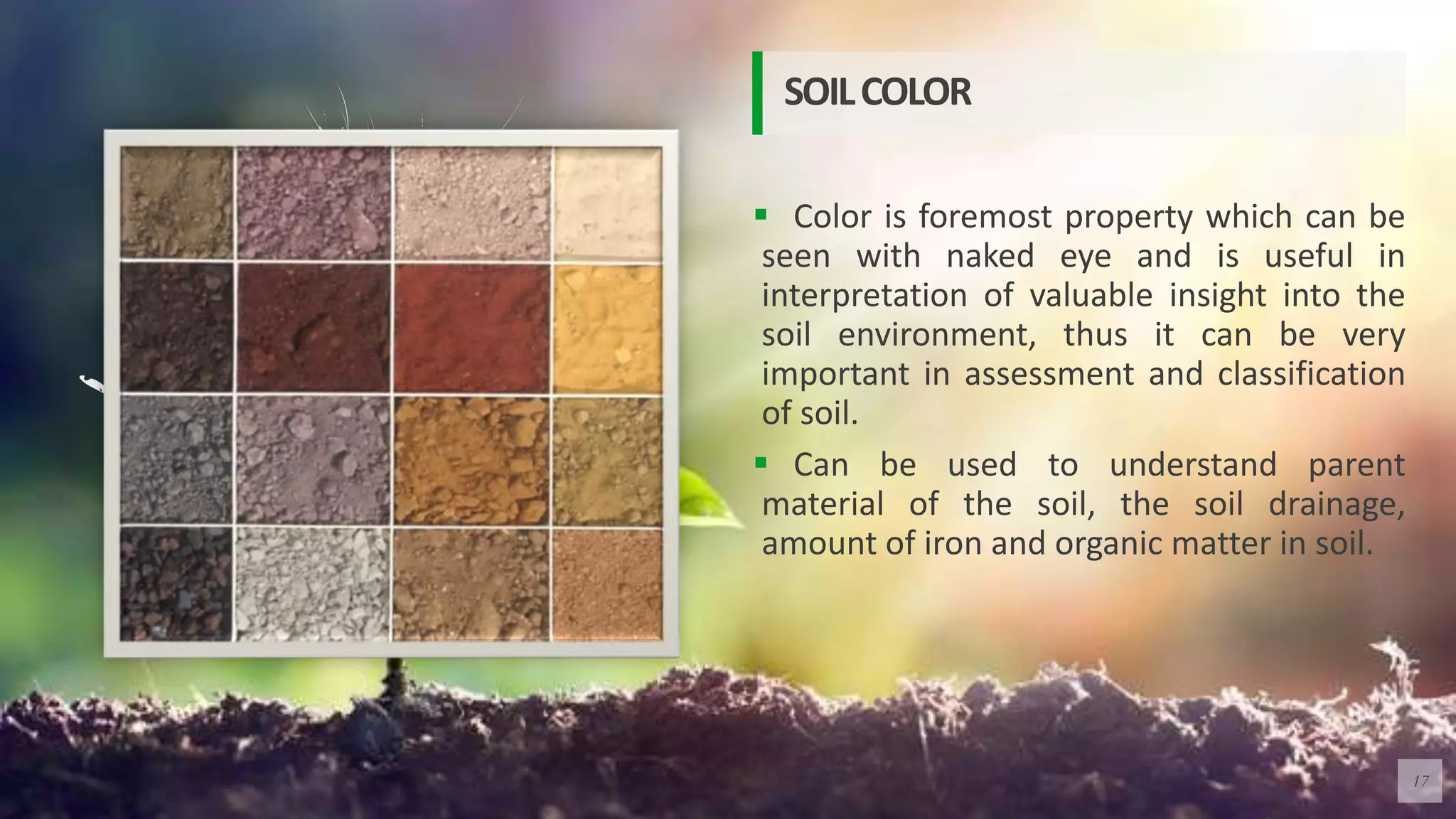 Biological properties of soil and biodiversity | PPTX