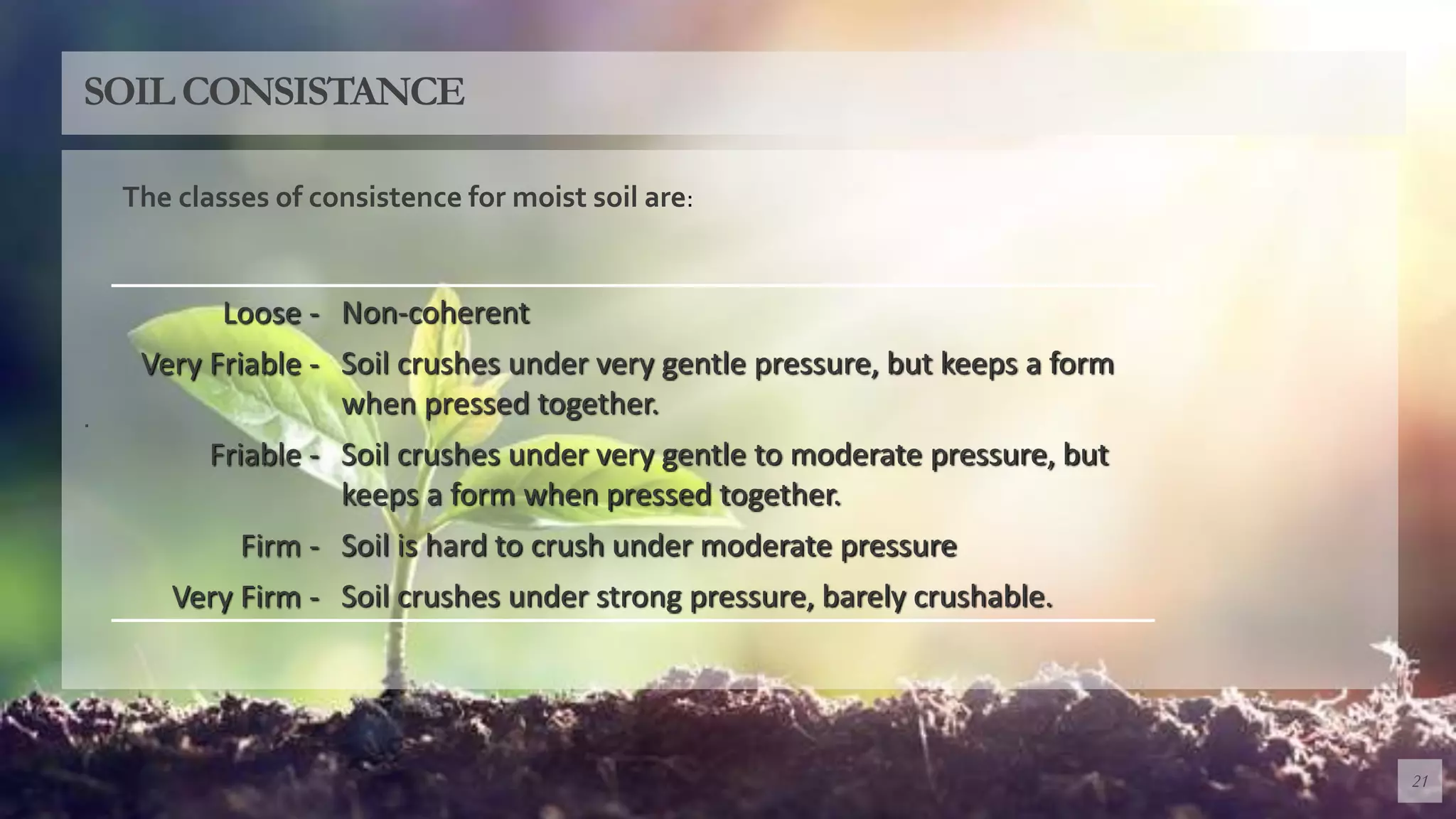 Biological properties of soil and biodiversity | PPTX