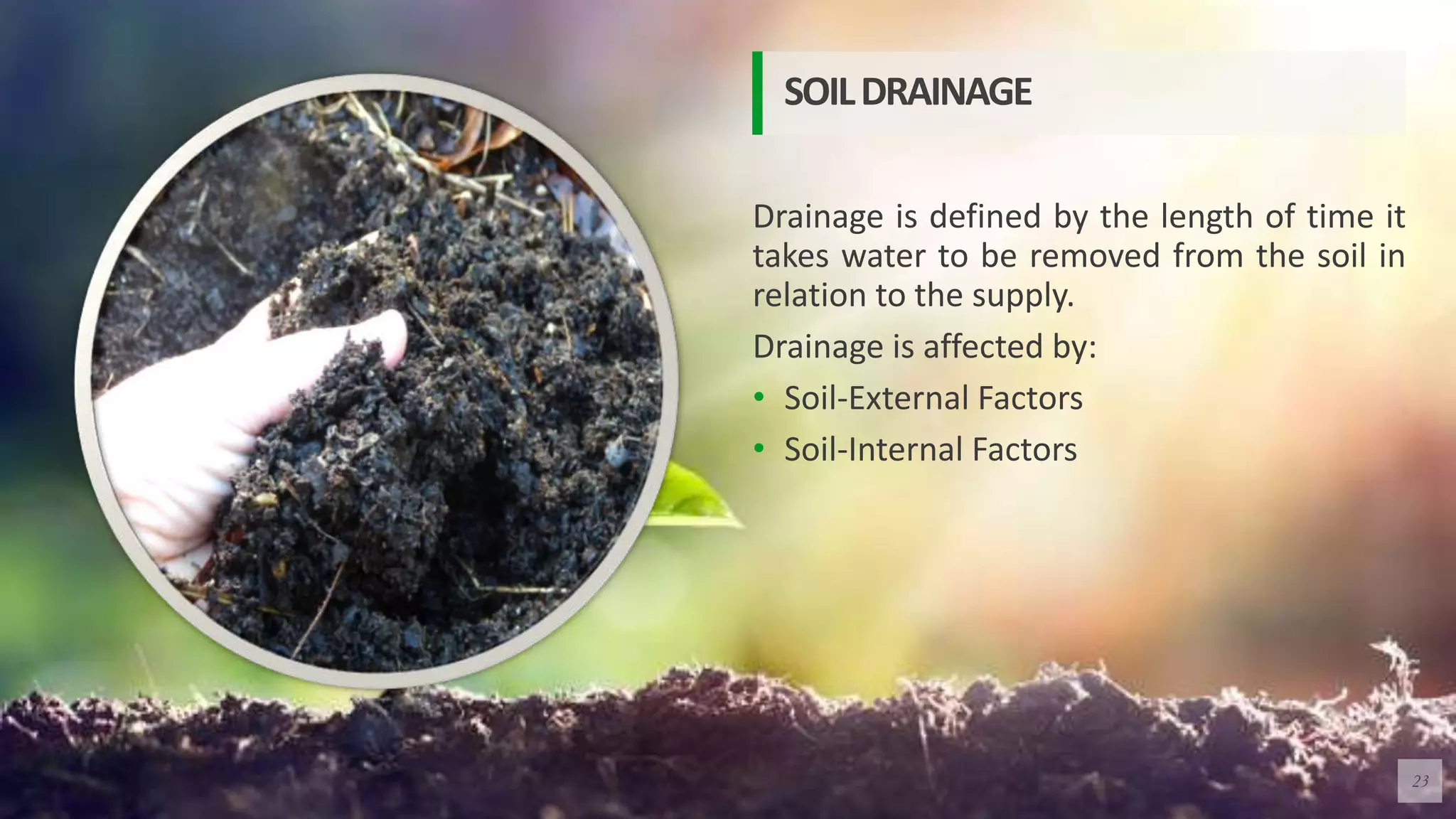 Biological properties of soil and biodiversity | PPTX