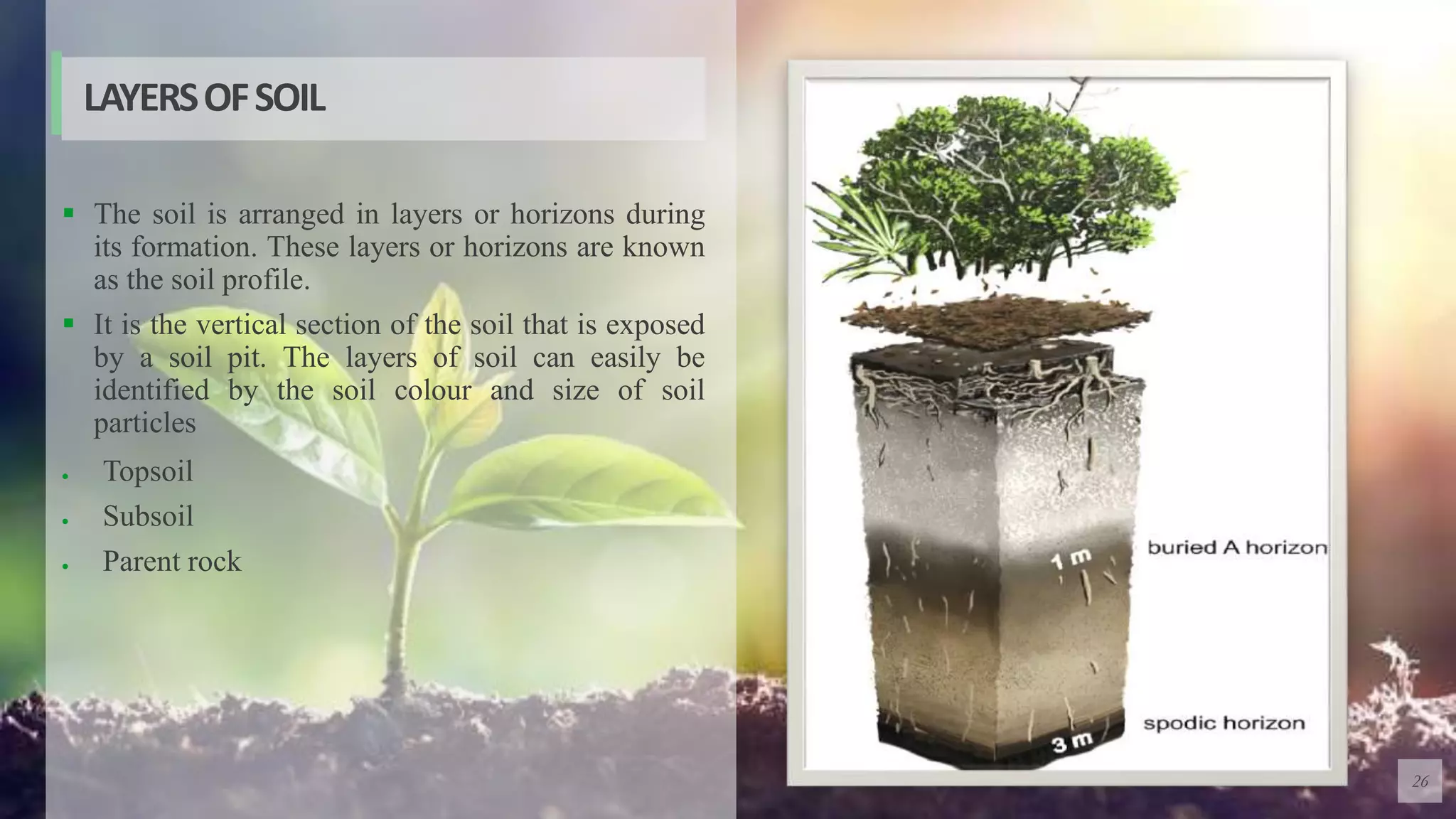 Biological properties of soil and biodiversity | PPTX