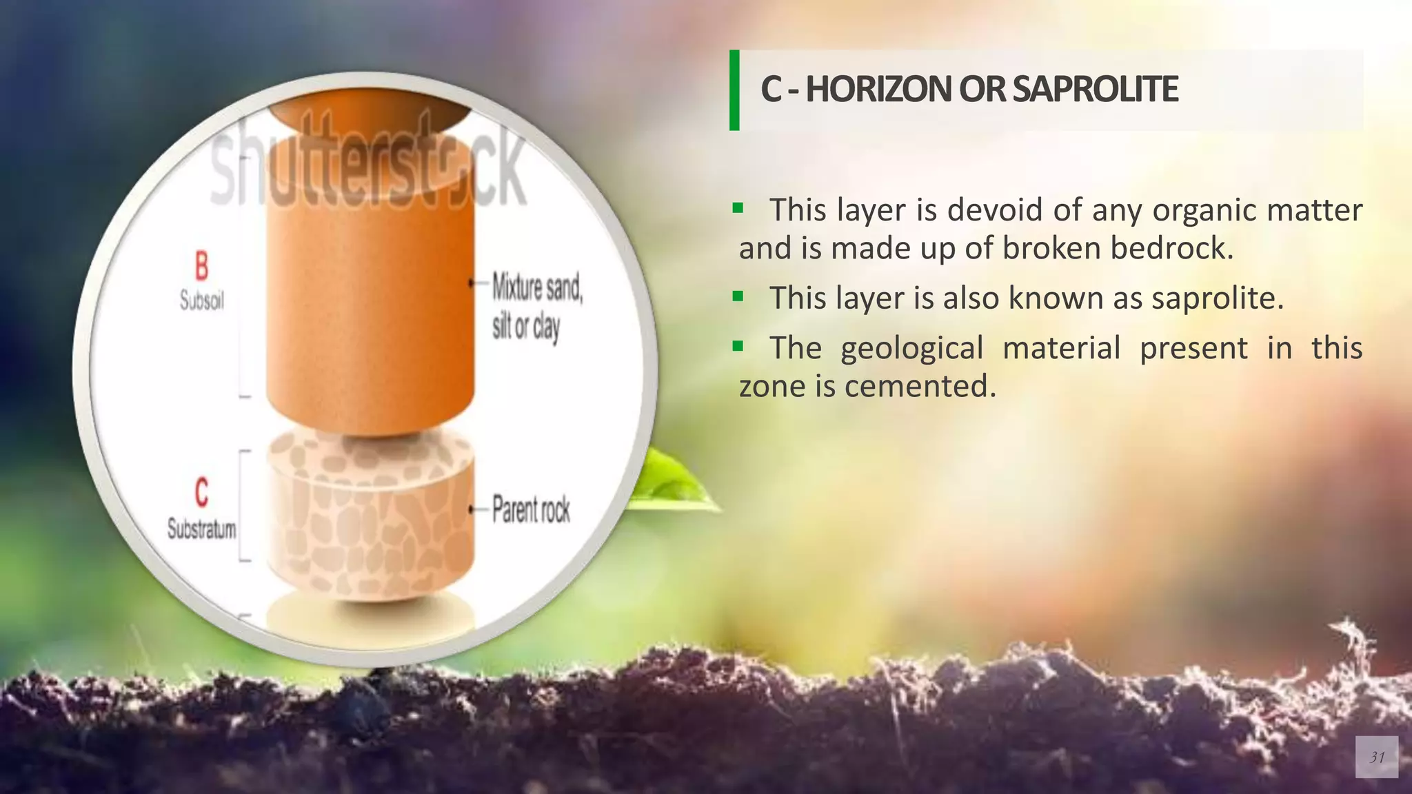 Biological properties of soil and biodiversity | PPTX