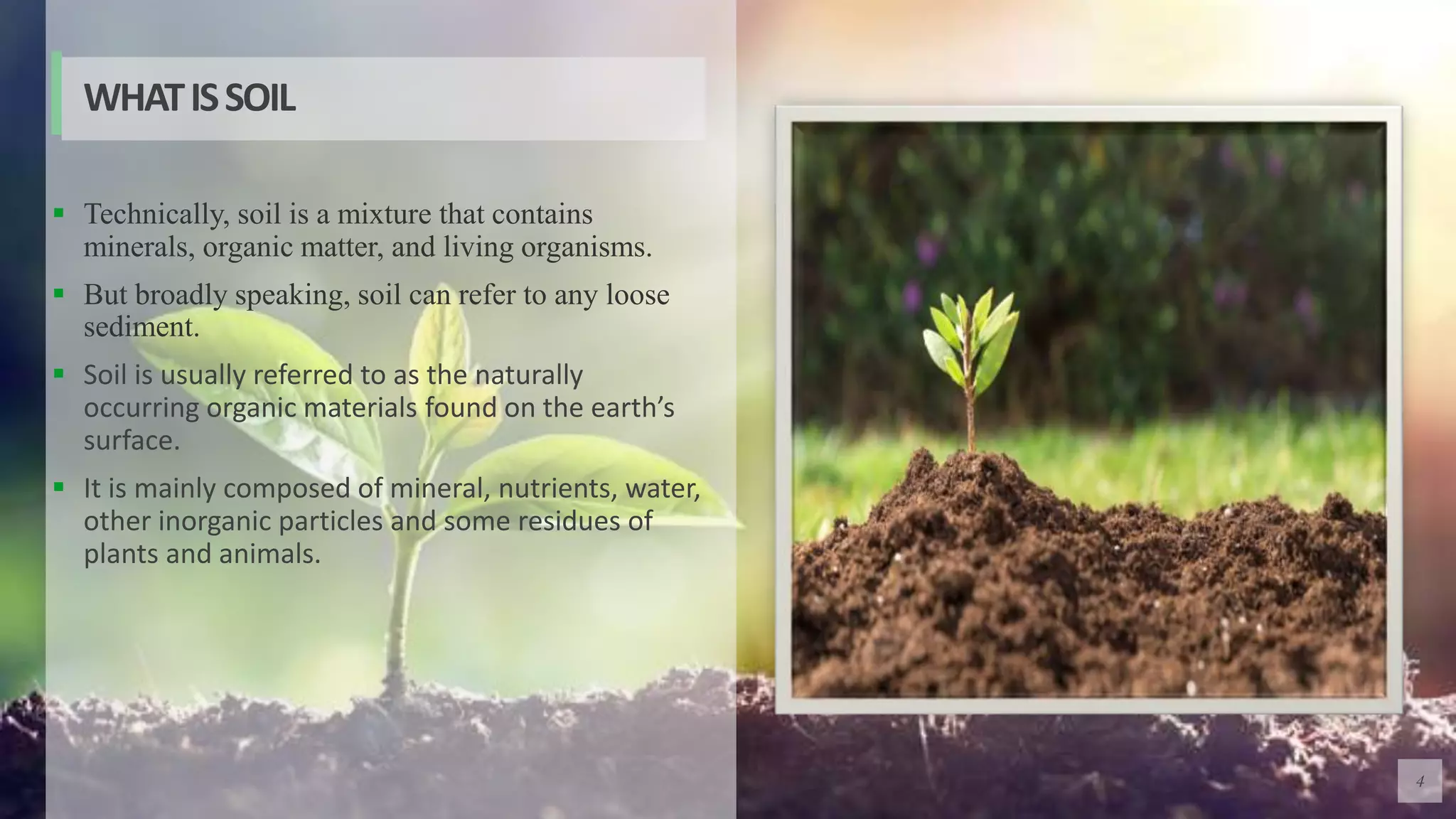 Biological properties of soil and biodiversity | PPTX
