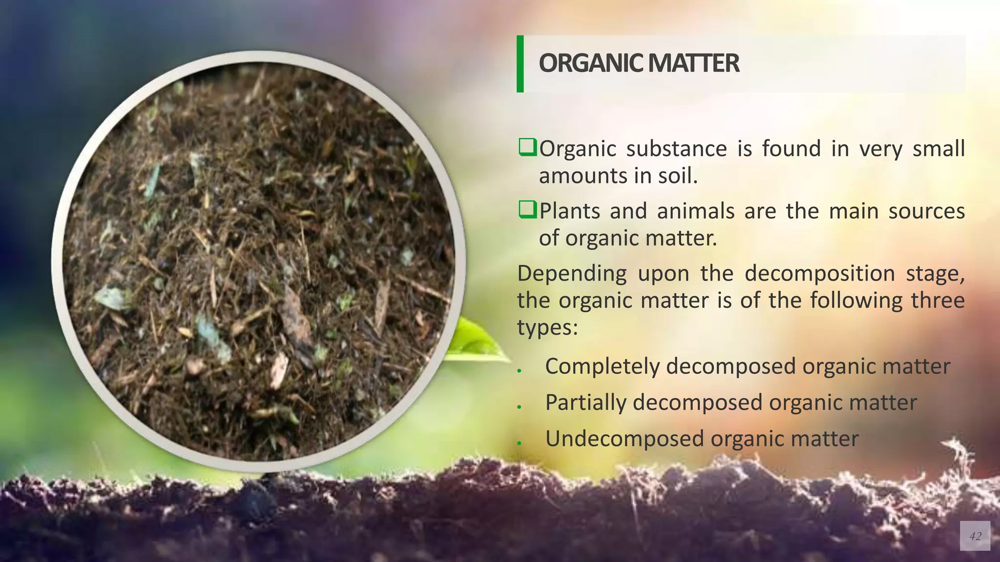 Biological properties of soil and biodiversity | PPTX
