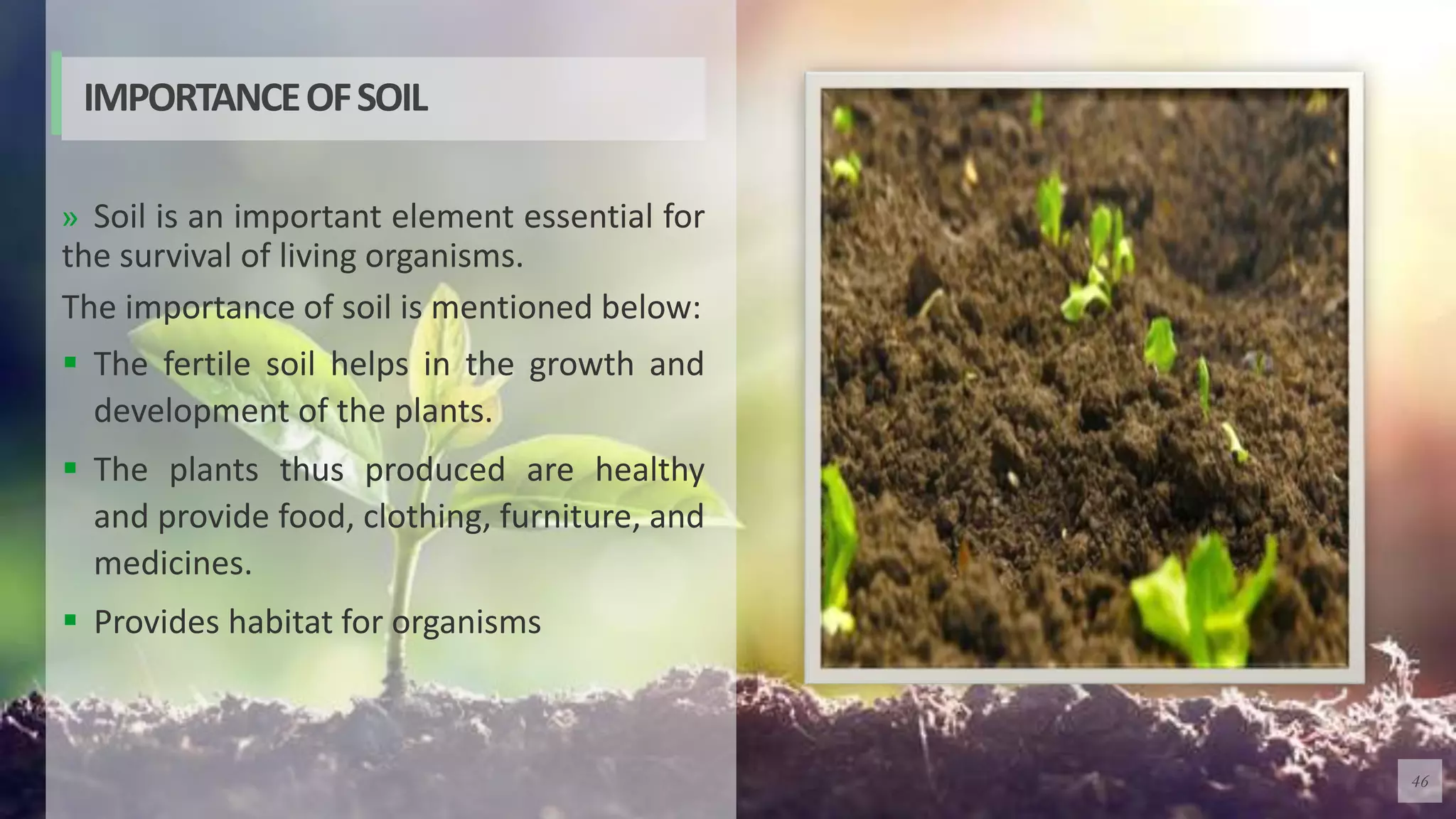 Biological properties of soil and biodiversity | PPTX