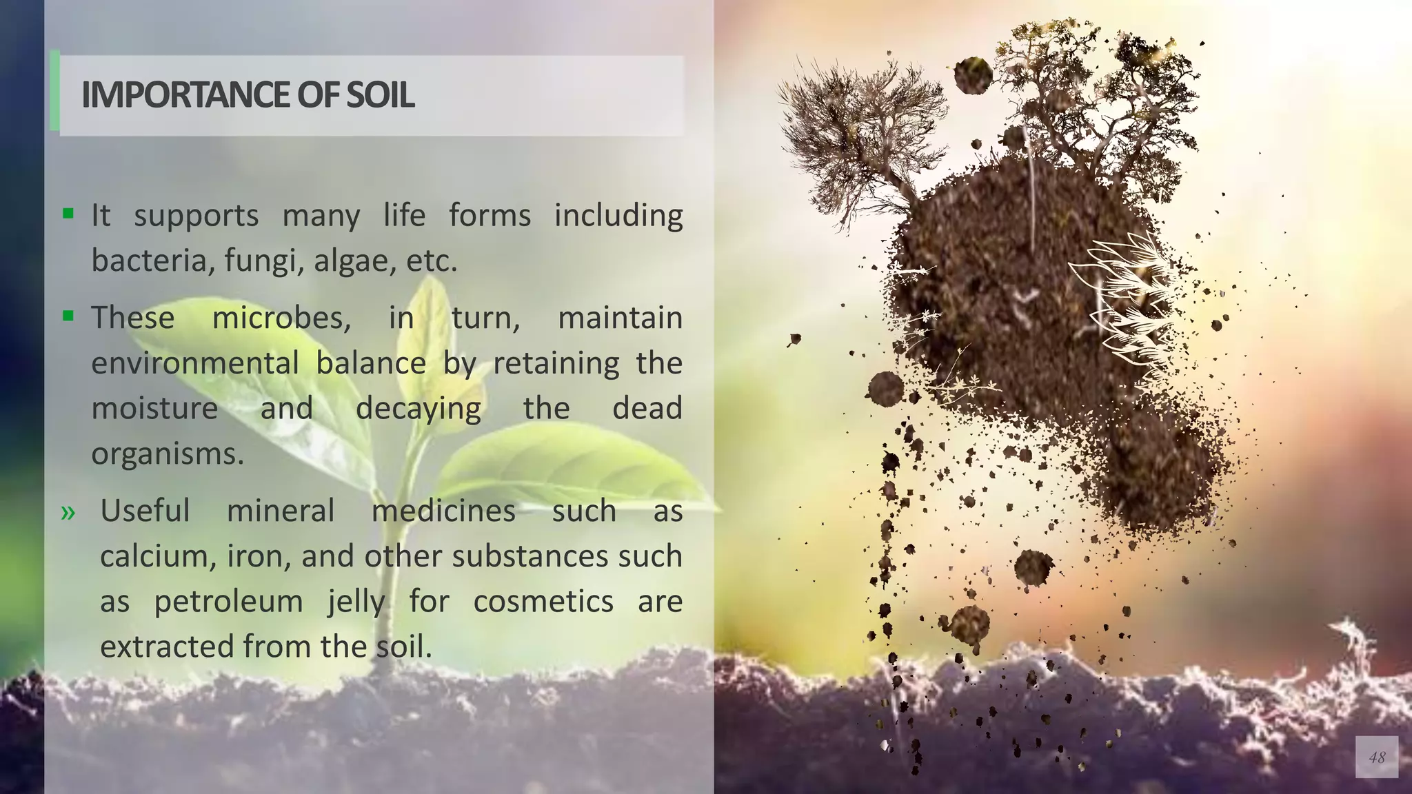 Biological properties of soil and biodiversity | PPTX