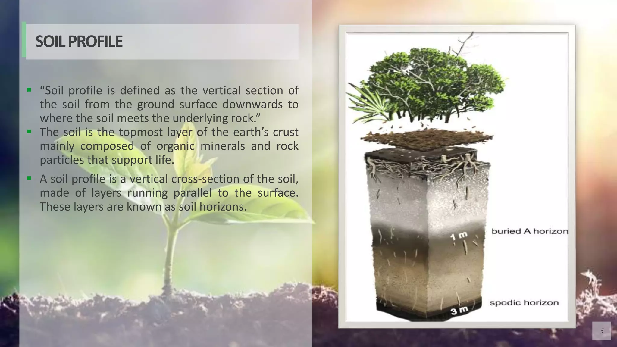 Biological properties of soil and biodiversity | PPTX