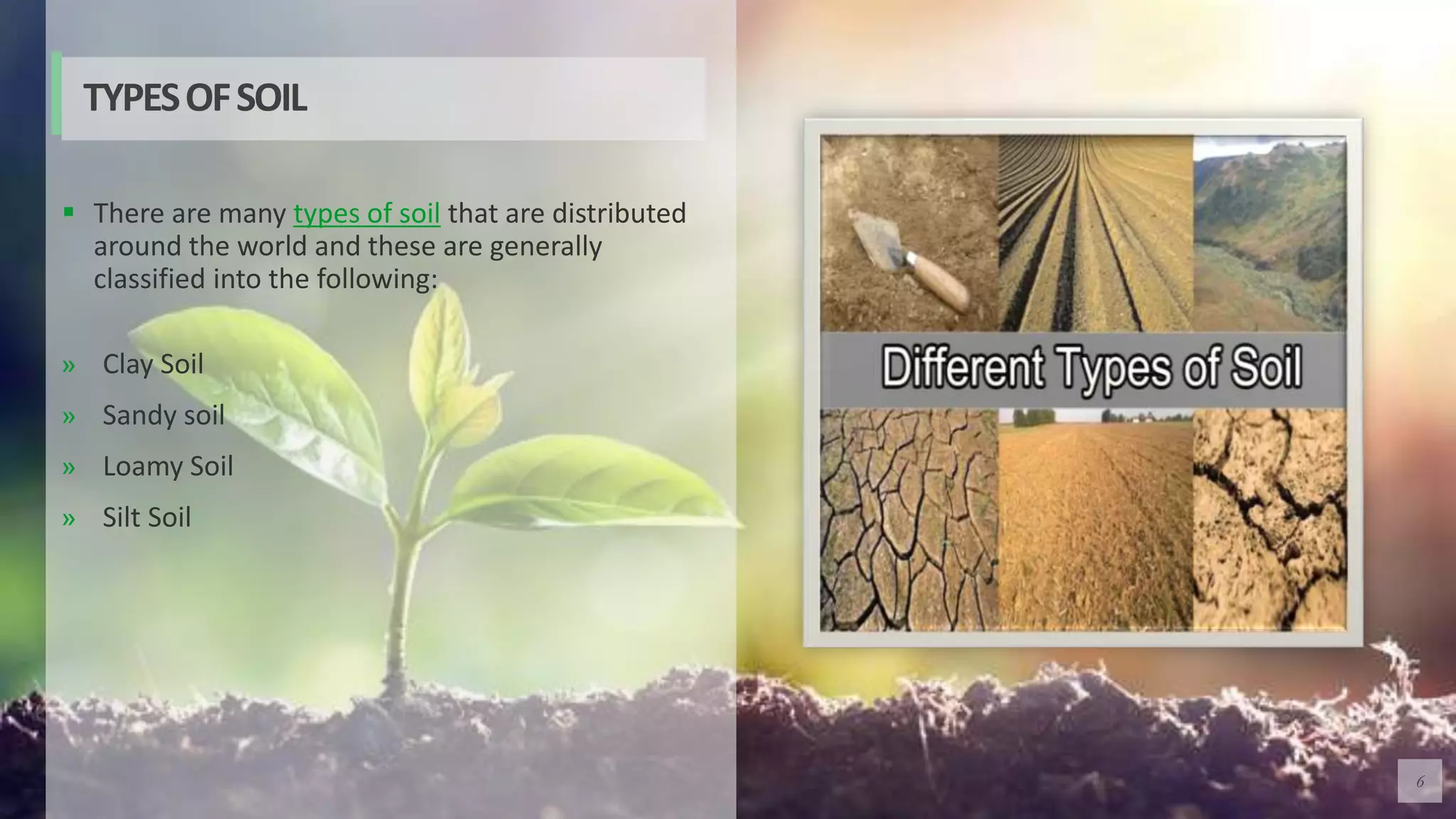 Biological properties of soil and biodiversity | PPTX