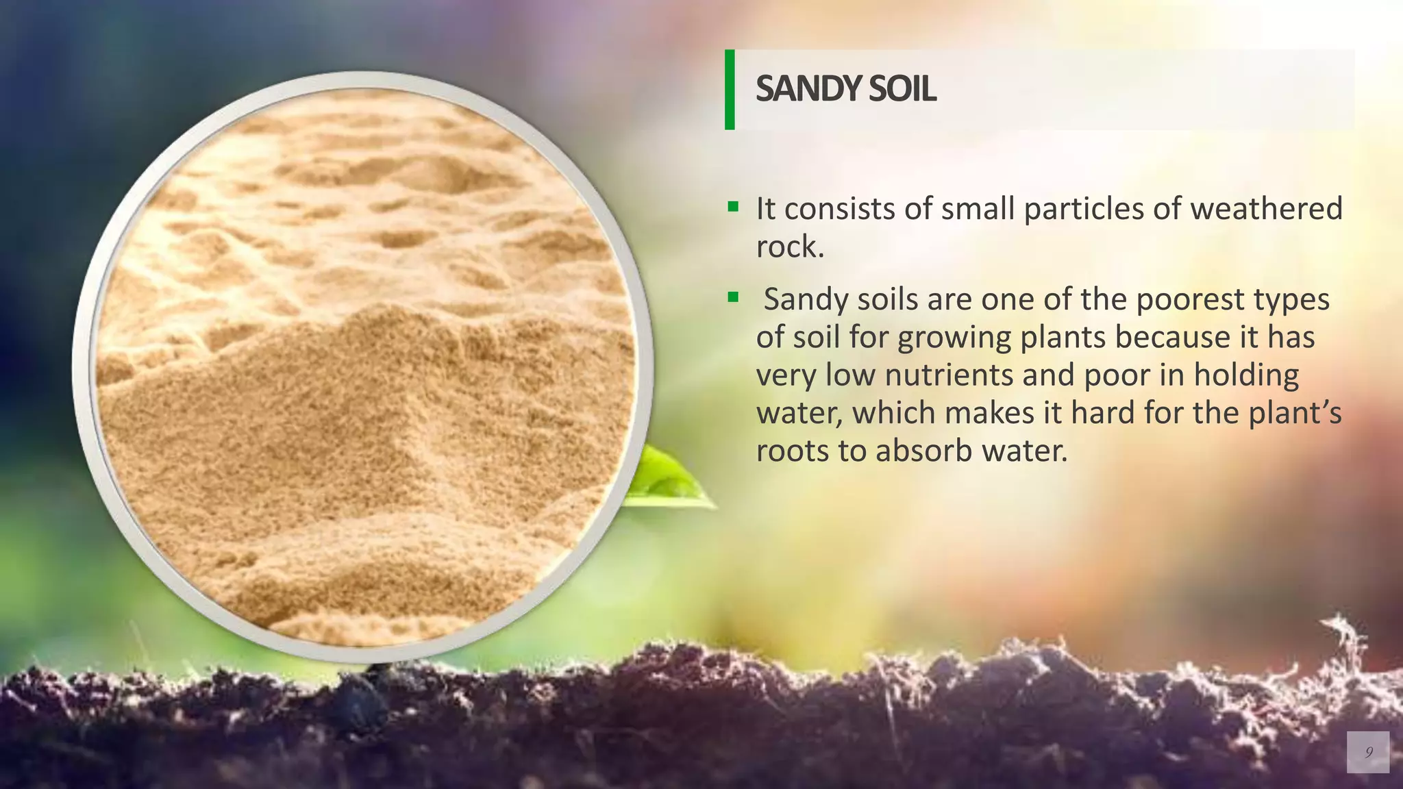 Biological properties of soil and biodiversity | PPTX
