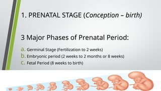 biological & psychological stages of development by Ms. SC Taboso & Ms. LG Napoles.pptx