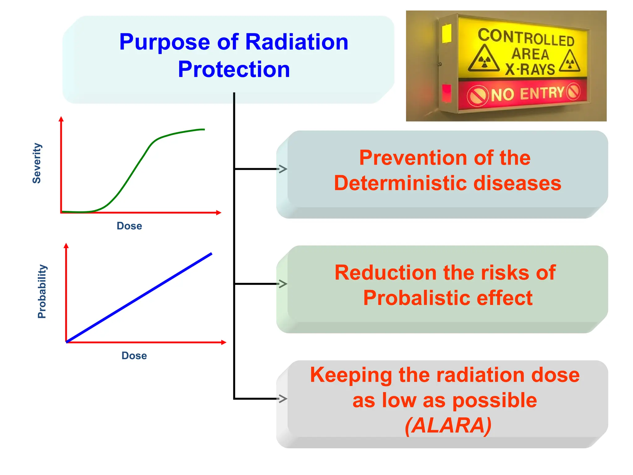 biological effects of ionizing radiation effect.ppt