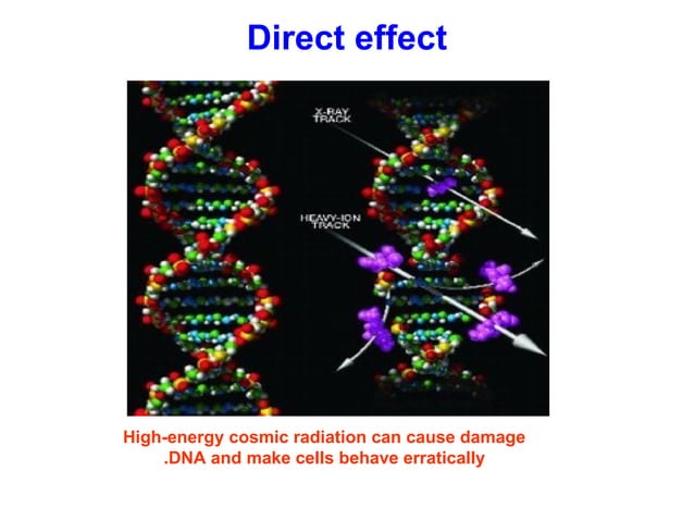 biological effects of ionizing radiation effect.ppt