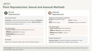 Biological Reproduction_ Mechanisms, Structures, and Regulation.pptx