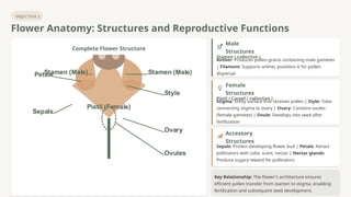 Biological Reproduction_ Mechanisms, Structures, and Regulation.pptx