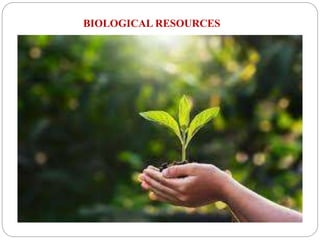 Biological Resources Biodiversity-definition and types.pdf