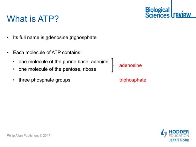BiologicalReview29_4_ATP_Presentation (1).pptx | Chemistry | Science