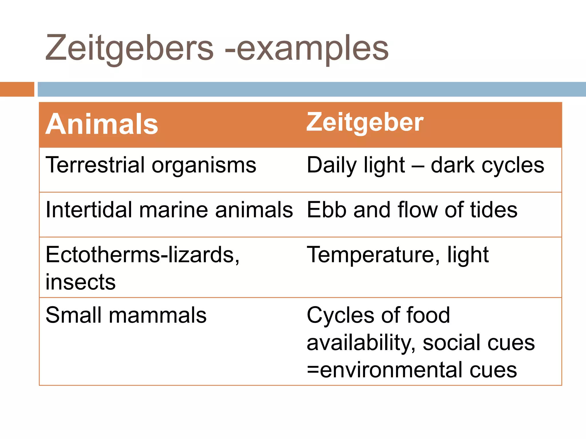 Biological rhythms | PPTX