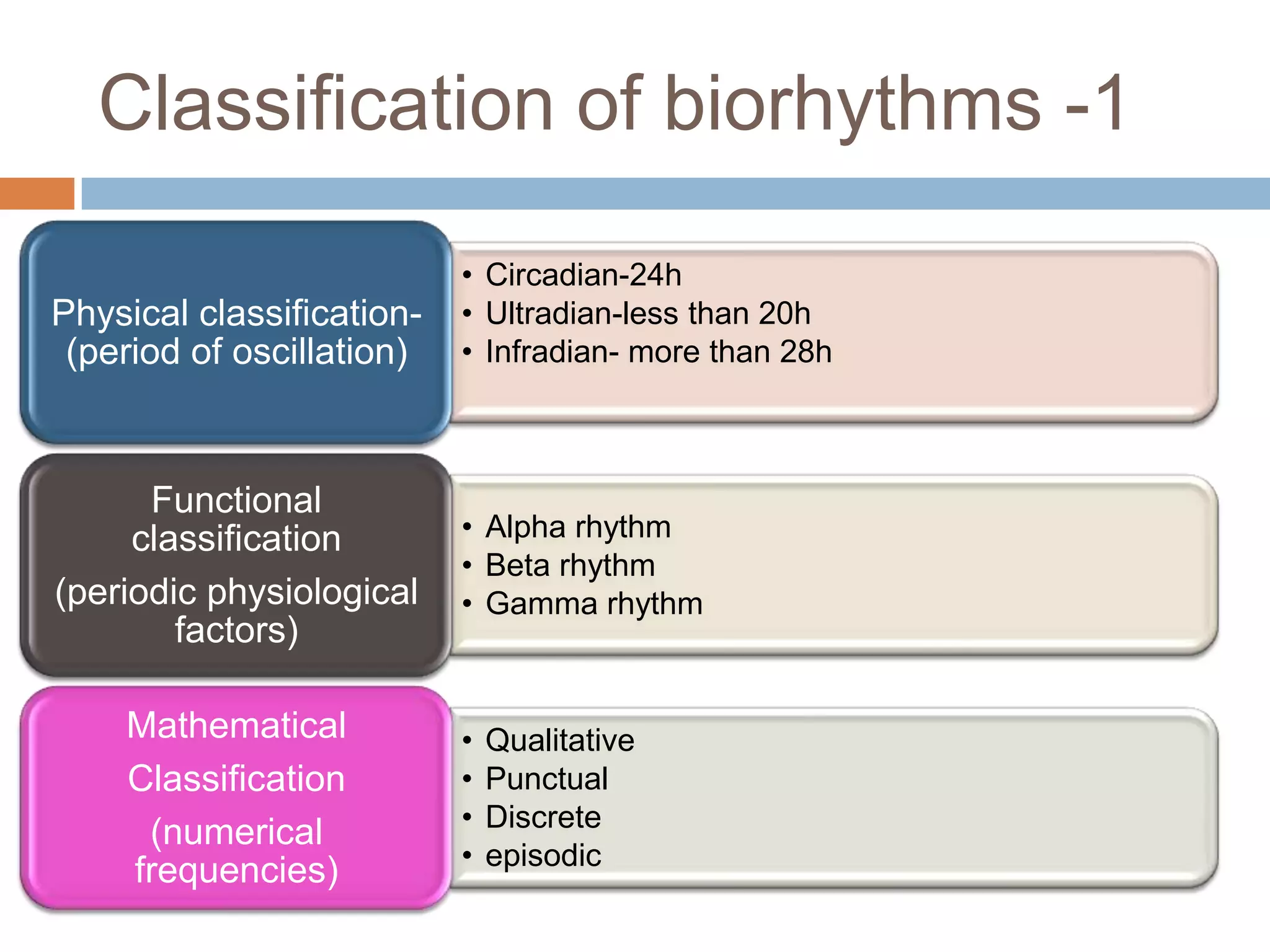 Biological rhythms | PPTX