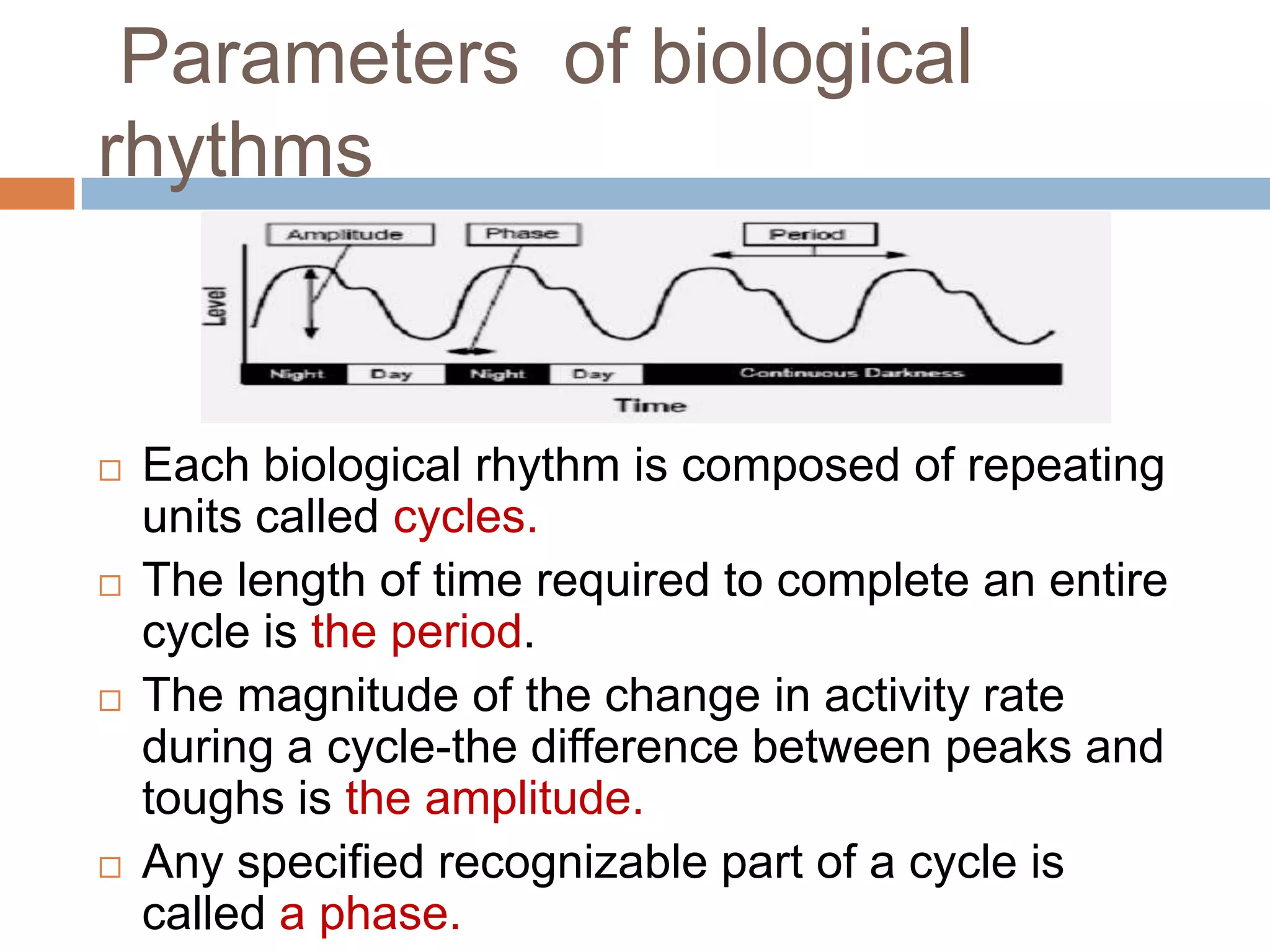 Biological rhythms | PPTX