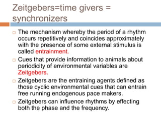 Biological rhythms | PPTX