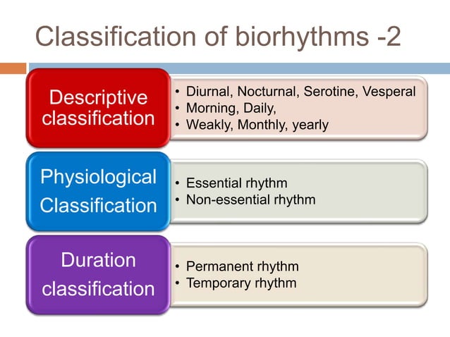 Biological rhythms | PPTX | Geography | Science