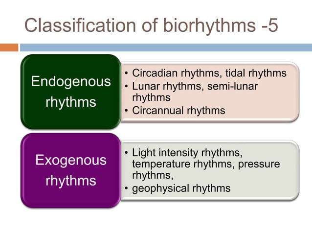 Biological rhythms | PPTX | Geography | Science