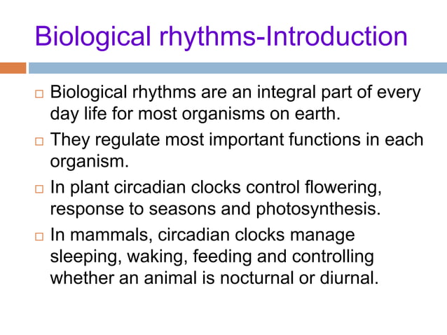 Biological rhythms | PPTX | Geography | Science