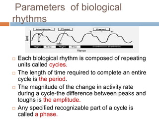Biological rhythms | PPTX
