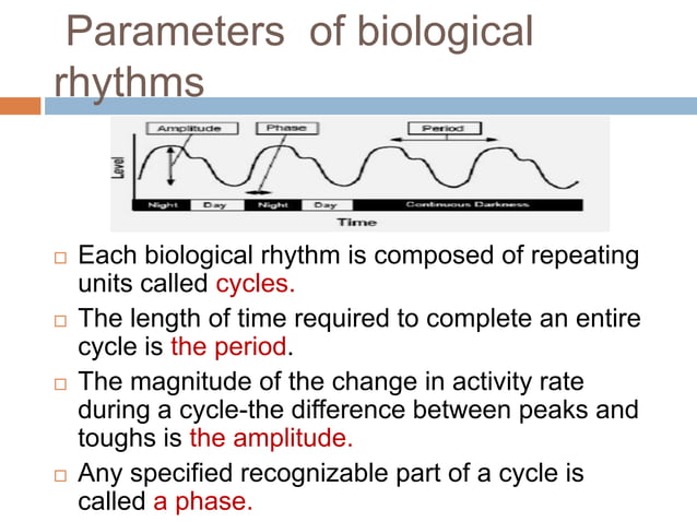 Biological rhythms | PPTX | Geography | Science
