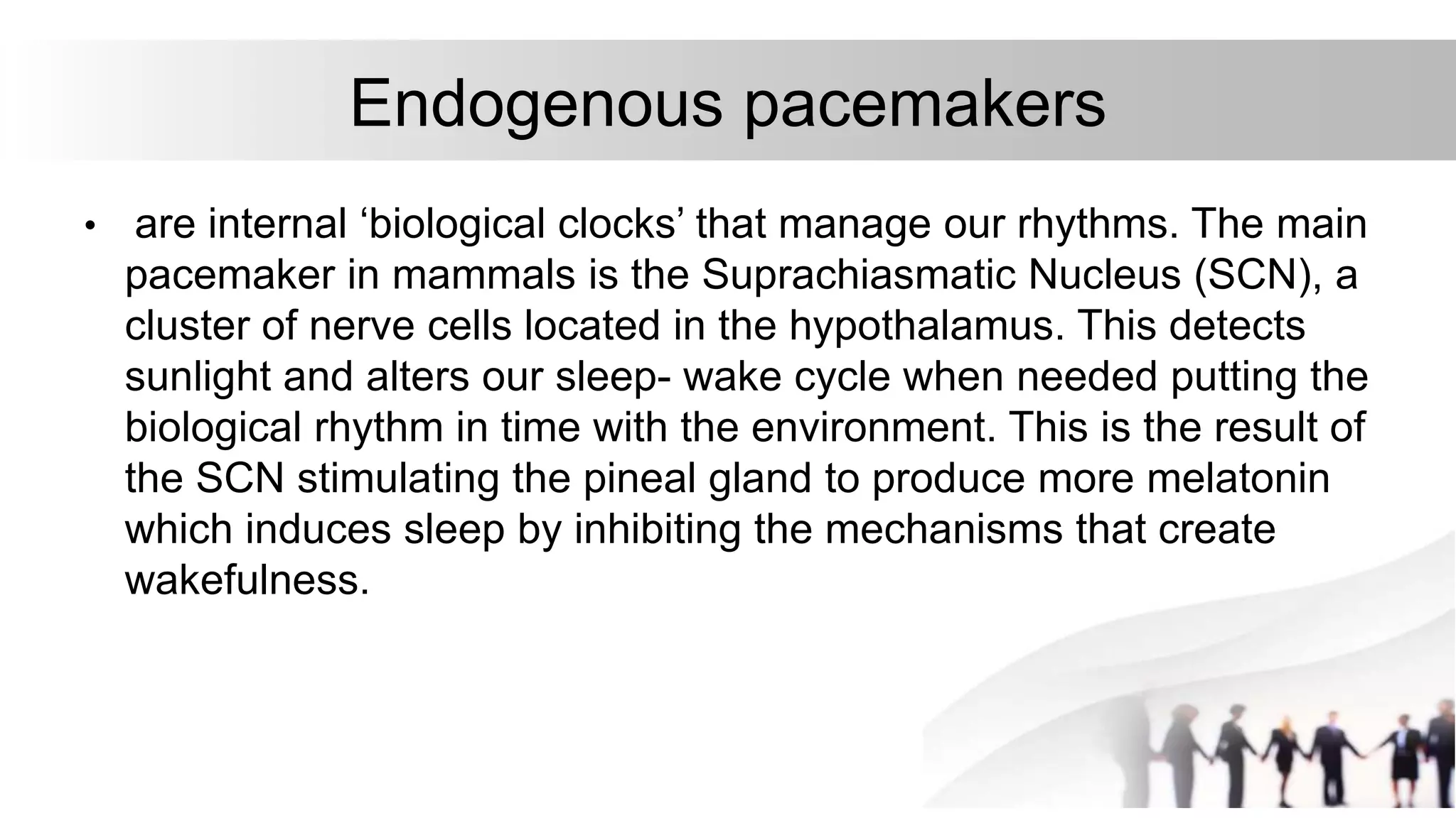 Biological rhythms | PPTX