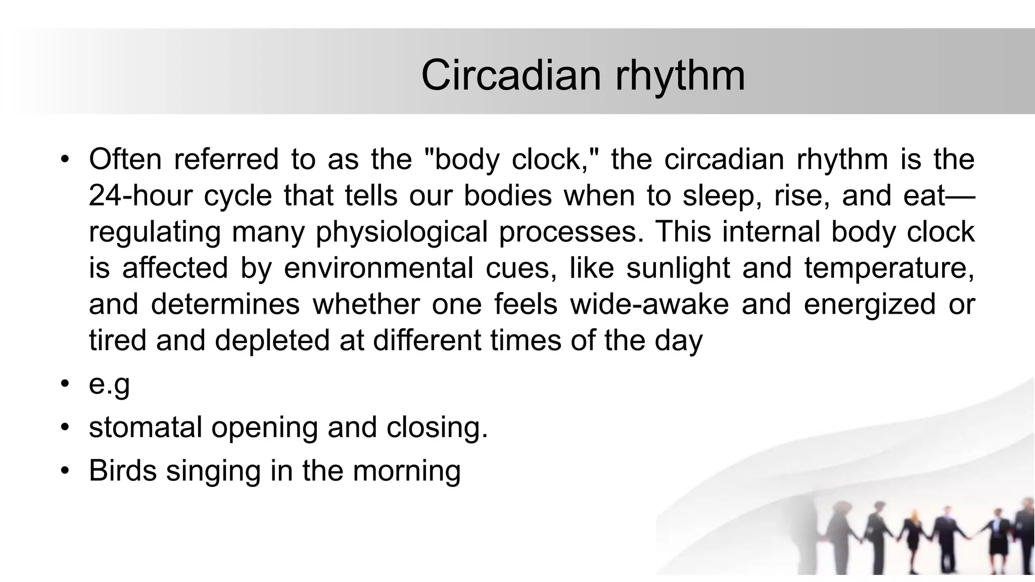 Biological rhythms | PPTX