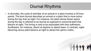 Biological rhythms | PPTX