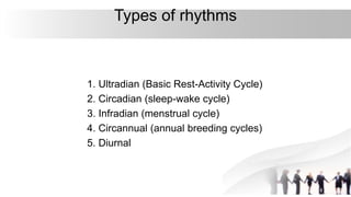 Biological rhythms | PPT
